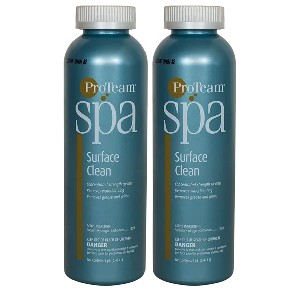 ProTeam Surface Clean Multipurpose Cleaner - 2 Pack, 1 Pint Bottles ...